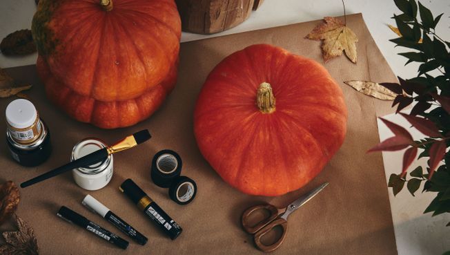 DIY Jardiland pour Halloween : découvrez comment peindre des ...