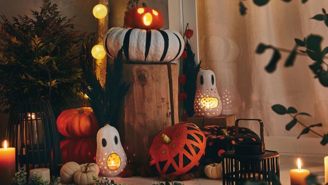 DIY Jardiland pour Halloween : découvrez comment peindre des ...