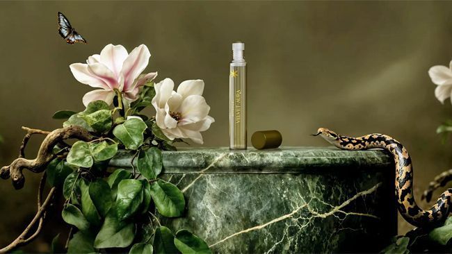 La tendance parfums de l'automne 2025 : ode à la vanille