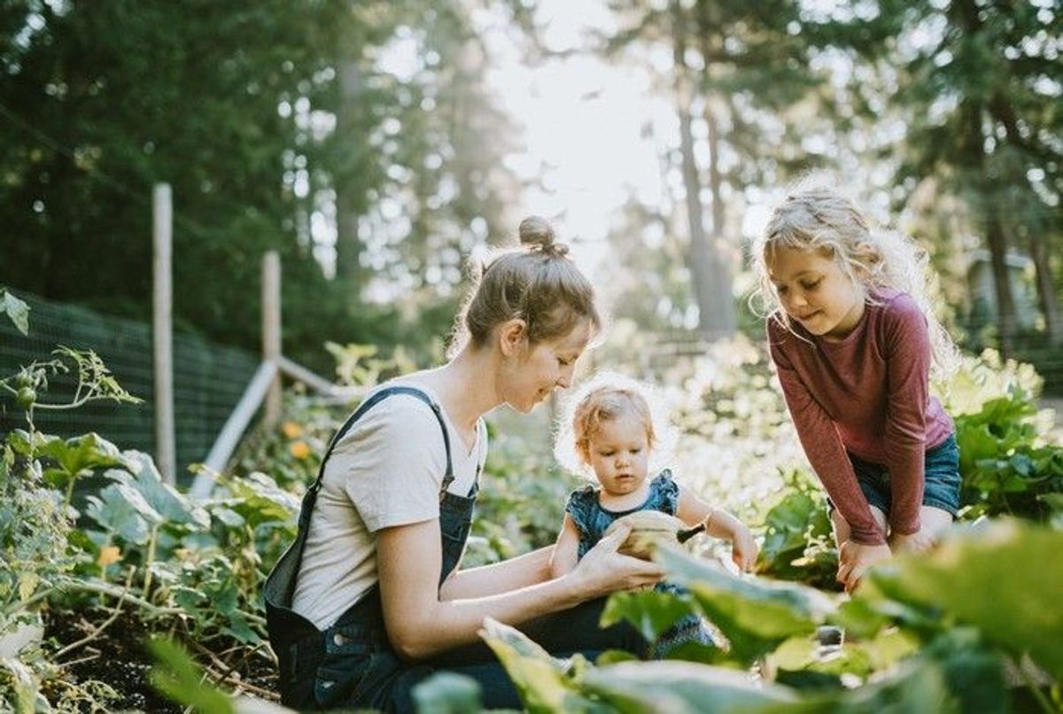 7 astuces qu'un jardinier se doit de connaître