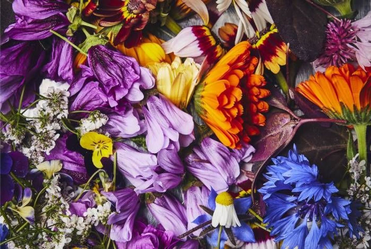 Cuisiner des fleurs comestibles : conseils et recettes de pro pour vous ...