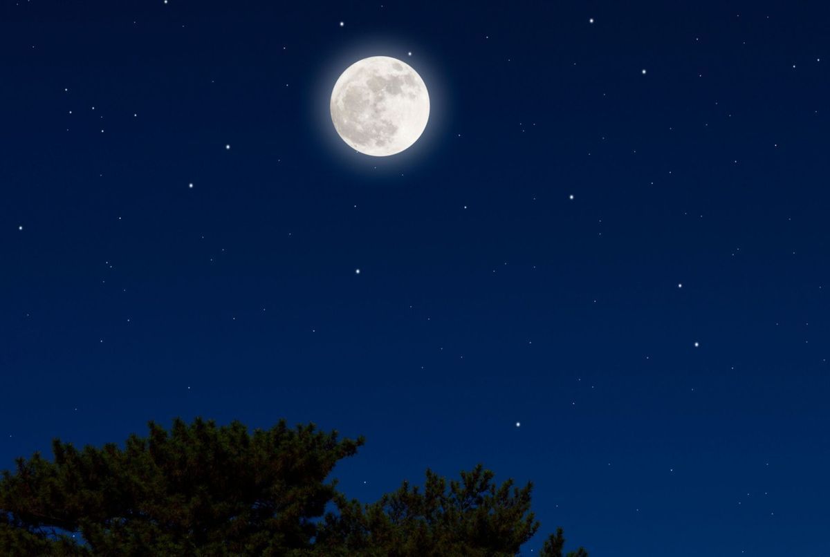 Pleine Lune : dépaysement au rendez-vous