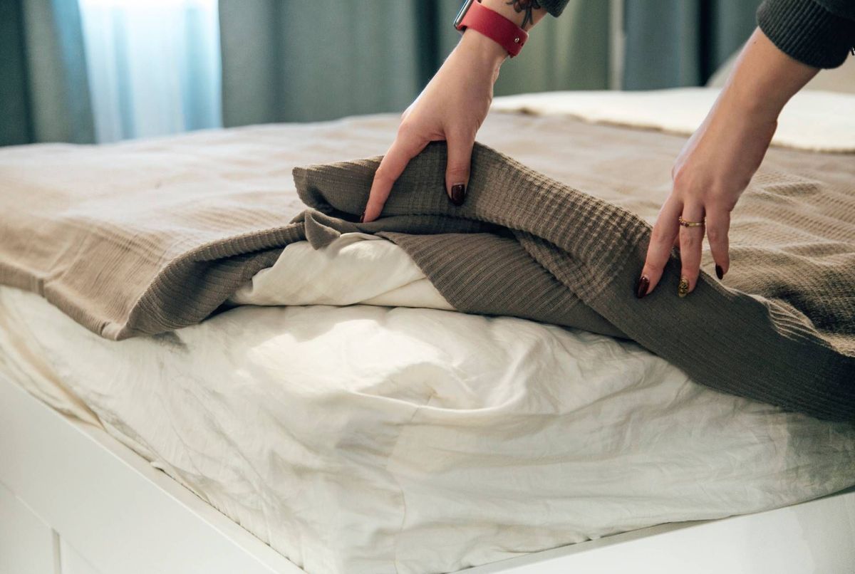 Acariens de maison : développement, risques et comment s'en débarrasser