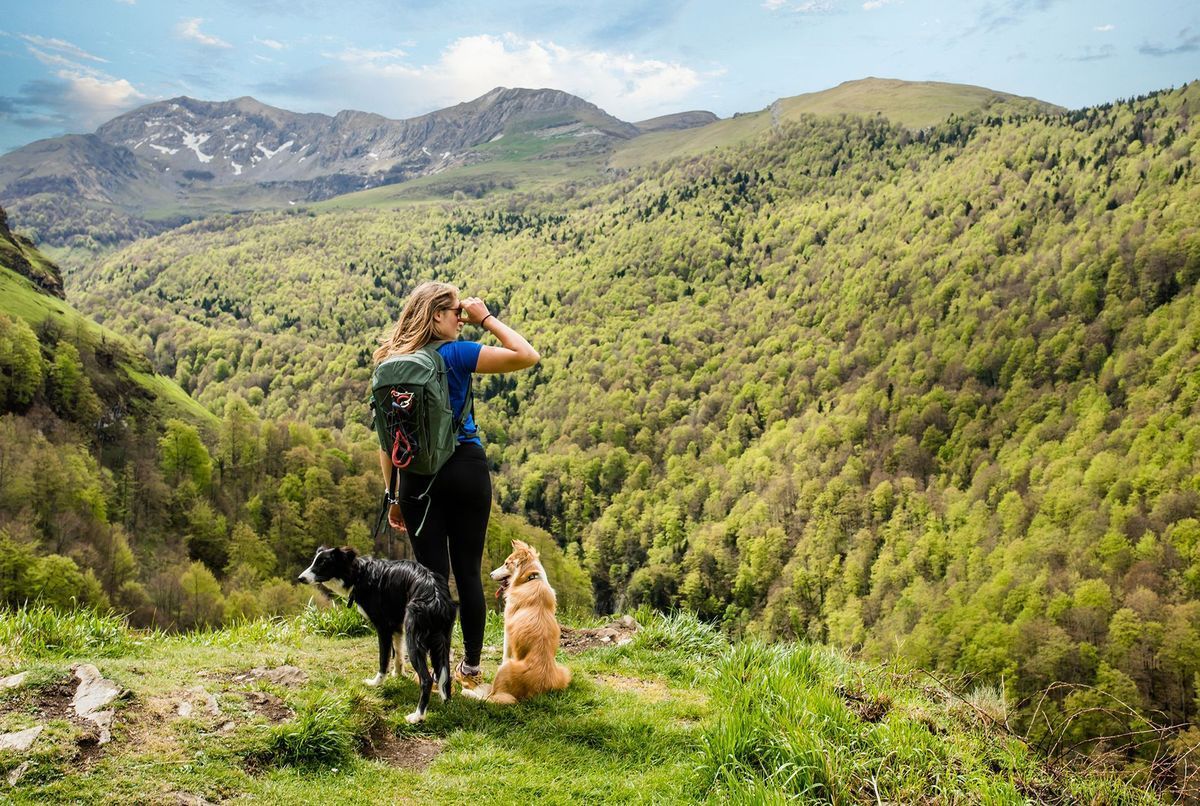 Voici la plus grande région de l’Hexagone : elle est 7 fois plus vaste ...