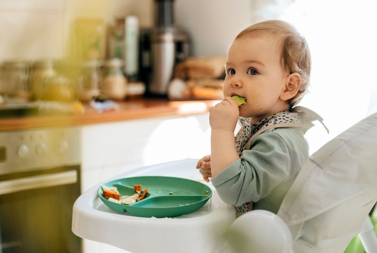 A partir de quel âge proposer à bébé les mêmes plats que le reste de la ...