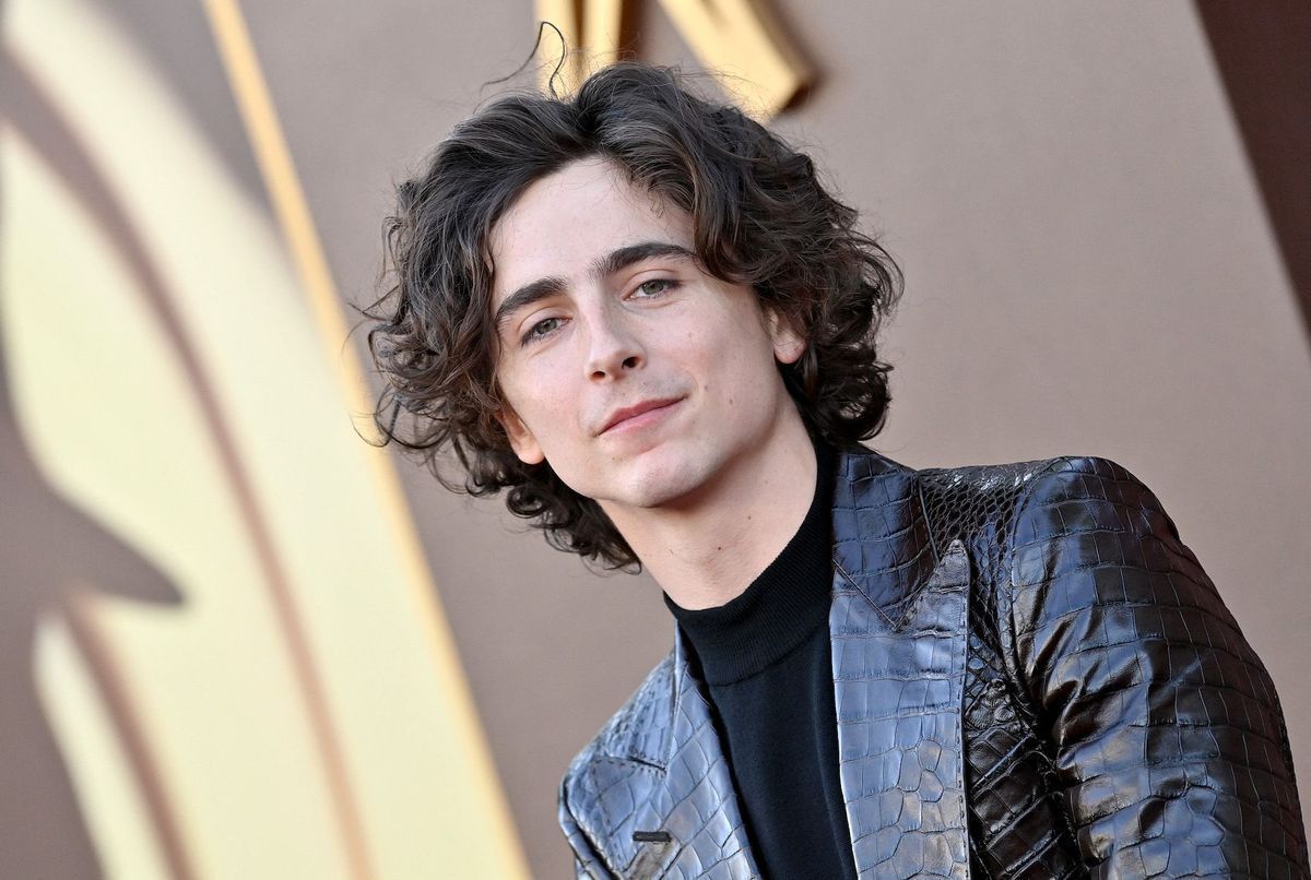 « Tu n’as pas le bon corps » : Timothée Chalamet révèle avoir été ...
