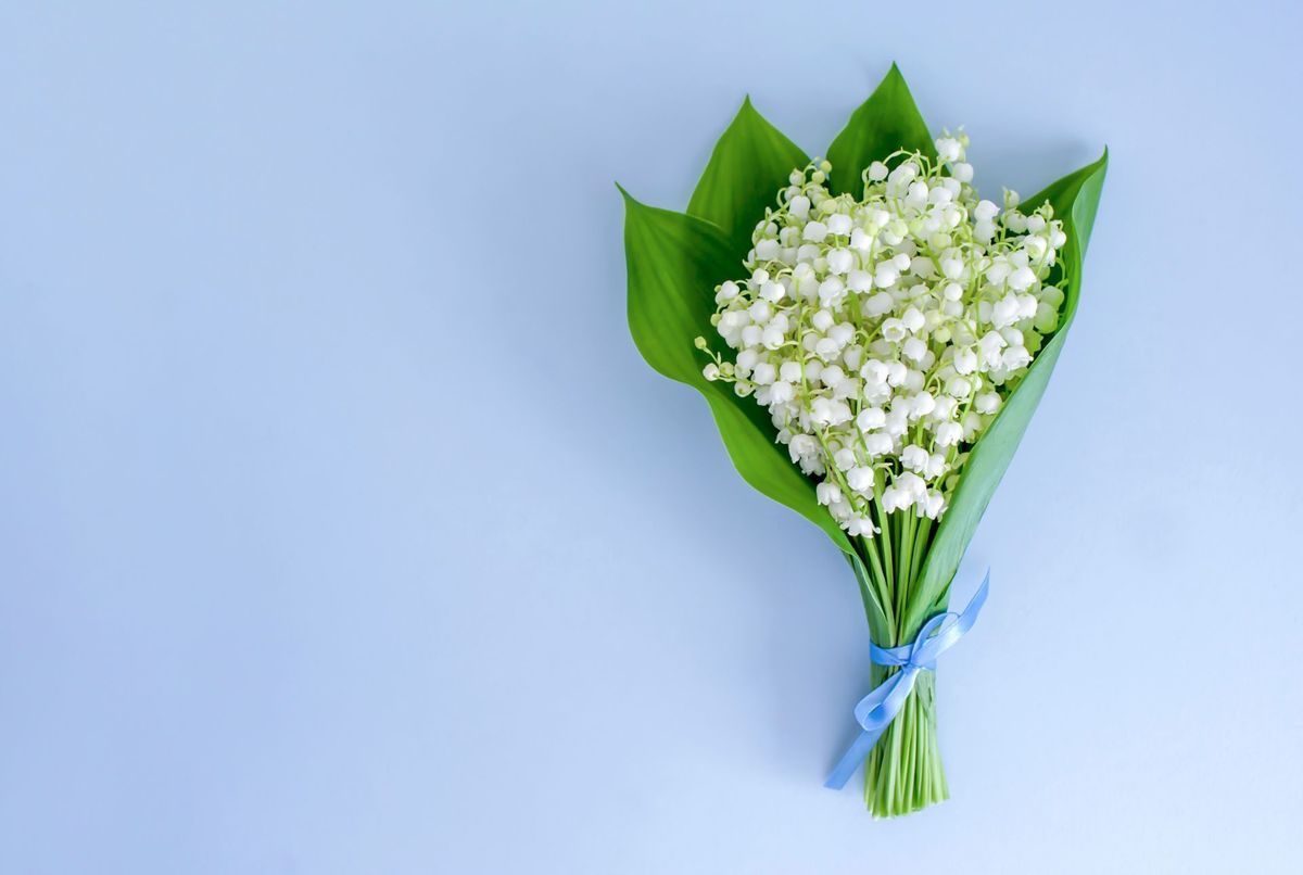 Fête du muguet : nos meilleures adresses pour offrir (ou s'offrir) un joli bouquet