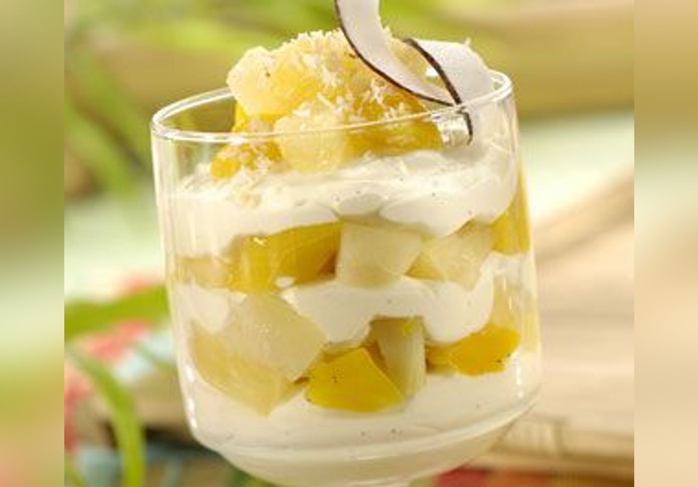 Mousse légère aux fruits