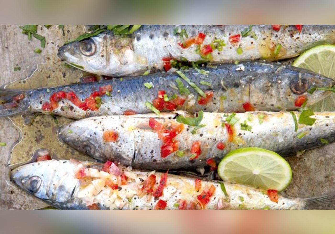 Pêche durable : les poissons que l'on peut encore manger