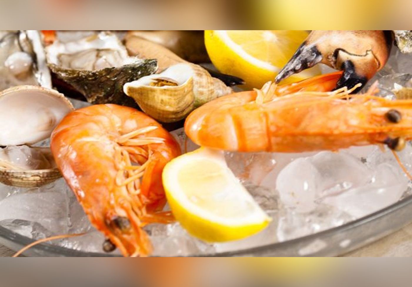 Tout savoir sur les crustacés et les fruits de mer