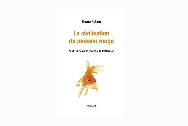 Sommes-nous tous des poissons rouges