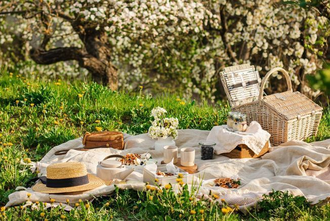 Orthographe : doit-on écrire « pique-nique », « pic-nique » ou « pic ...